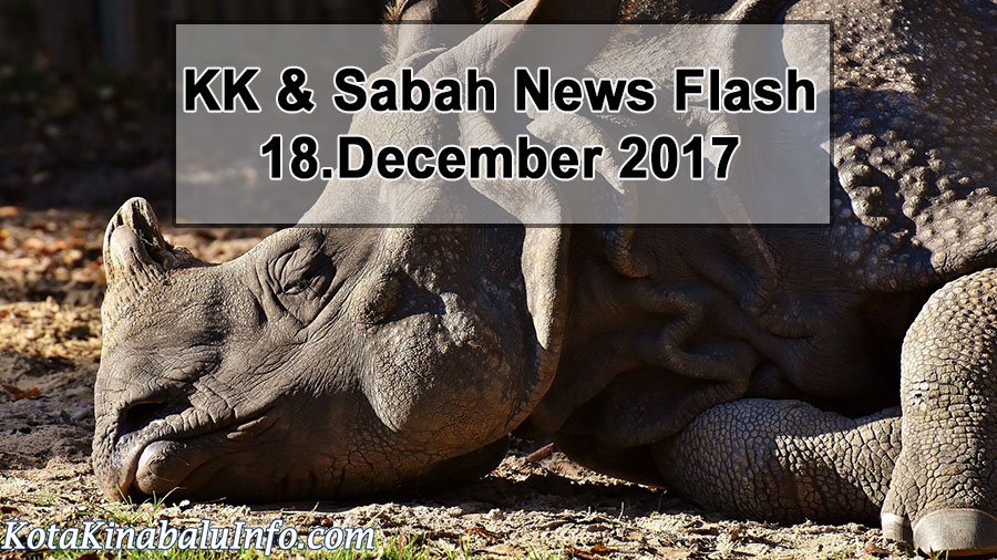 ll Malaysia’s Last Living Sumatran Rhino Sick | Kota Kinabalu Info